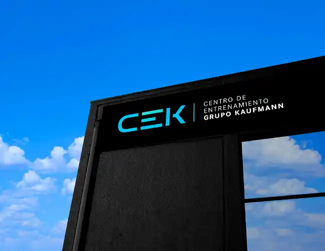 KAUFMANN | Líder en el mercado automotriz. Automóviles y vehículos ...