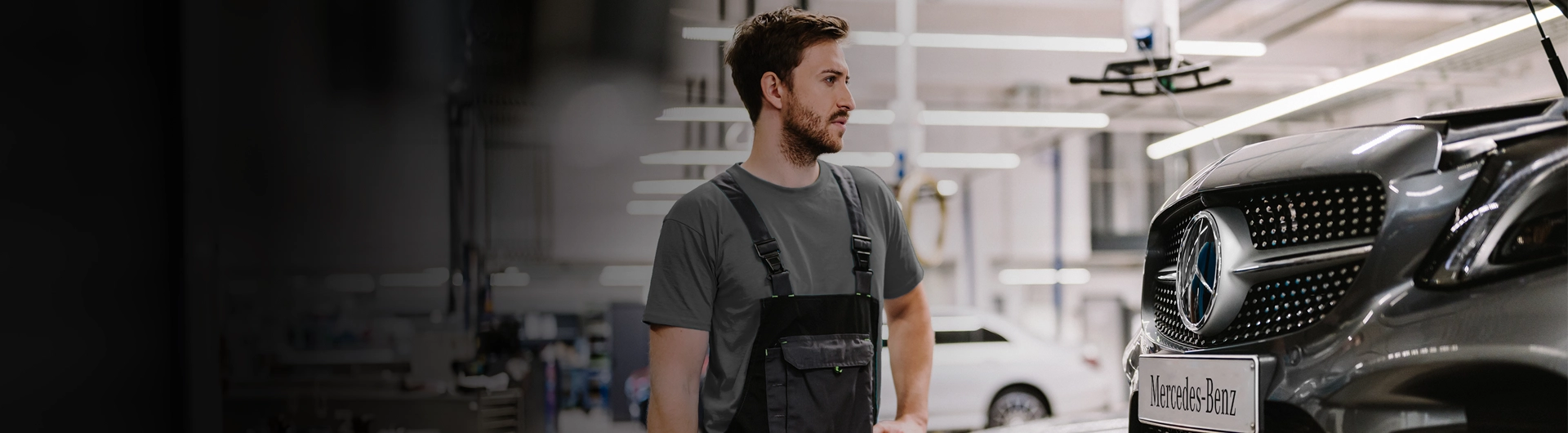 KAUFMANN | Líder en el mercado automotriz. Automóviles y vehículos ...